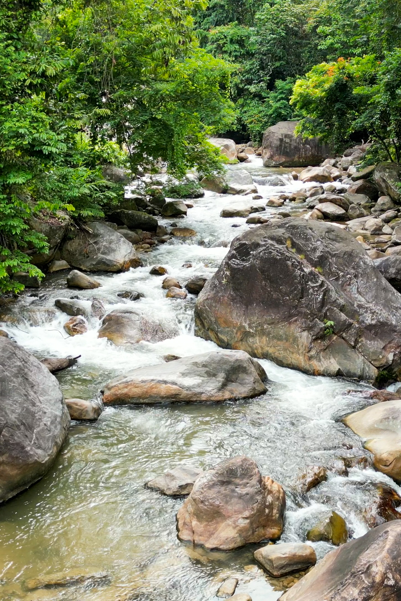 Small Hydro - Cenergi SEA Berhad